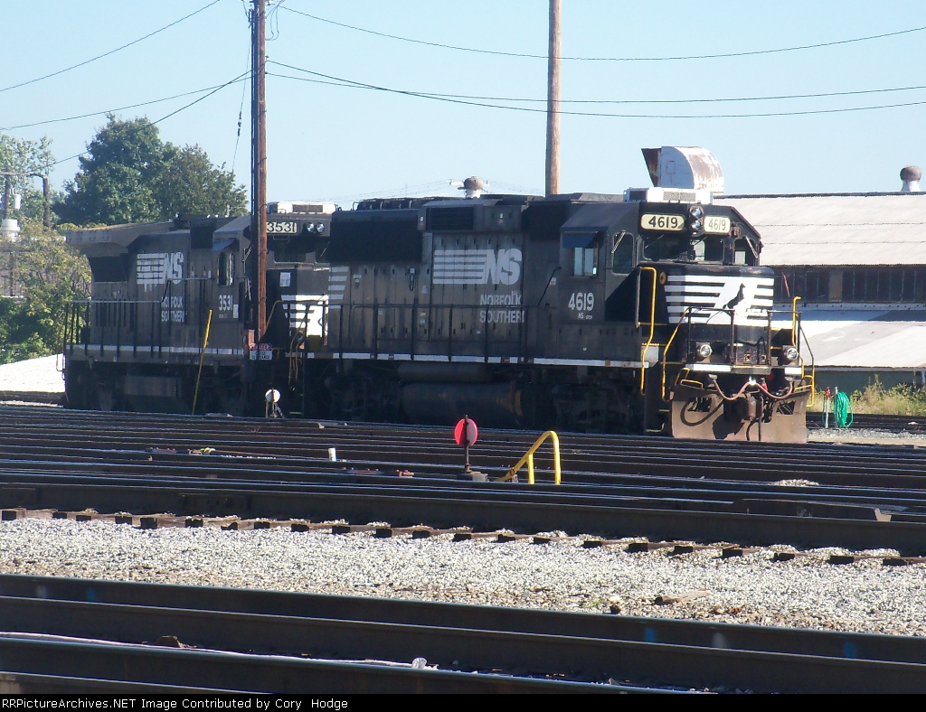 NS 4619 and NS 3531